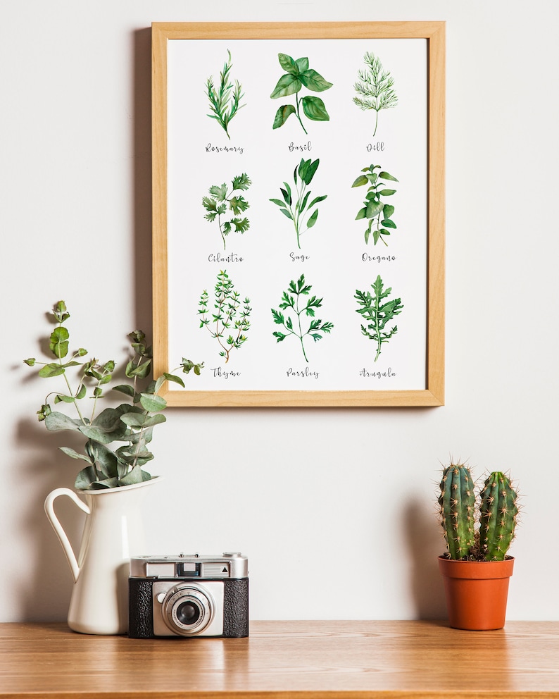 Herb Poster Print · Herb Printables · Kitchen Printables · Watercolor ...