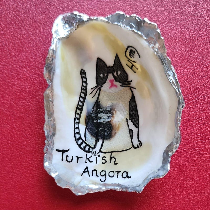 Turkish Angora Cat - Etsy