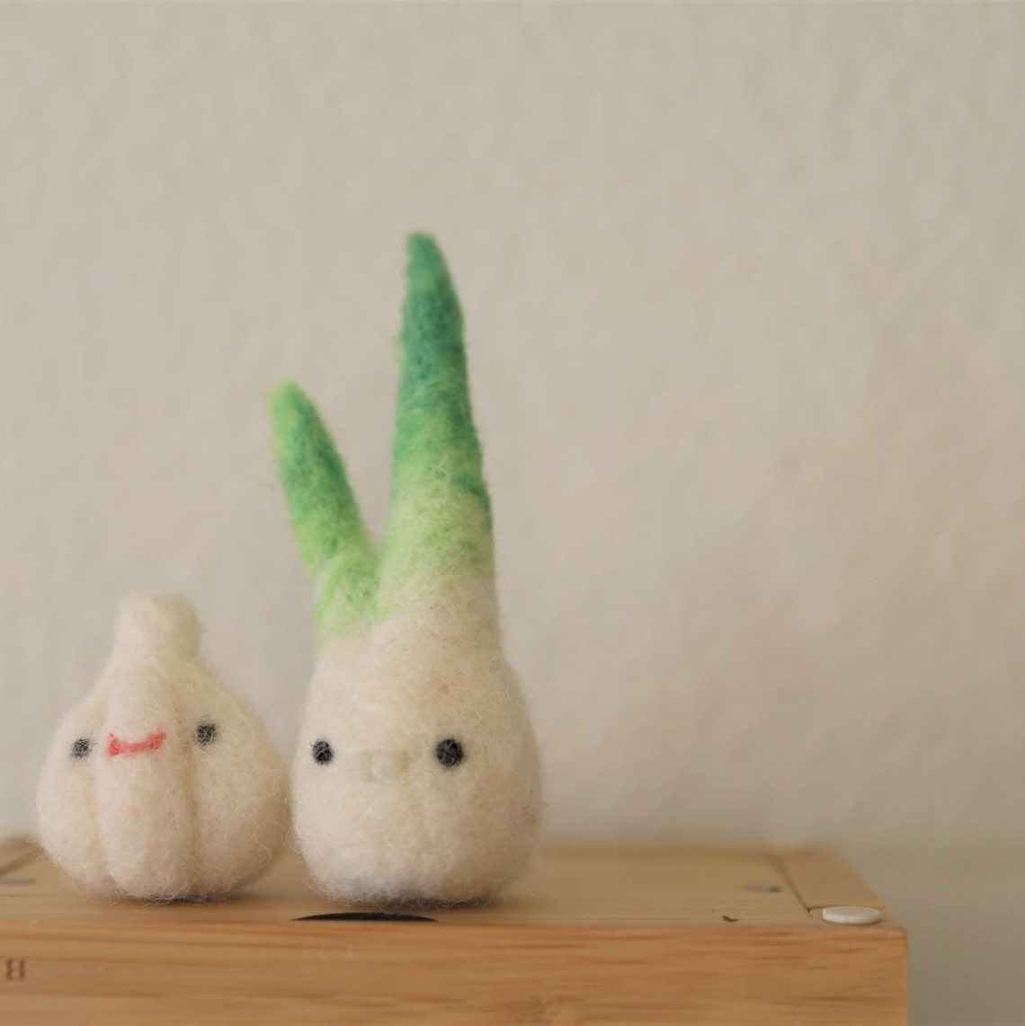 Felted Garlic and Green Onion Kit - Etsy