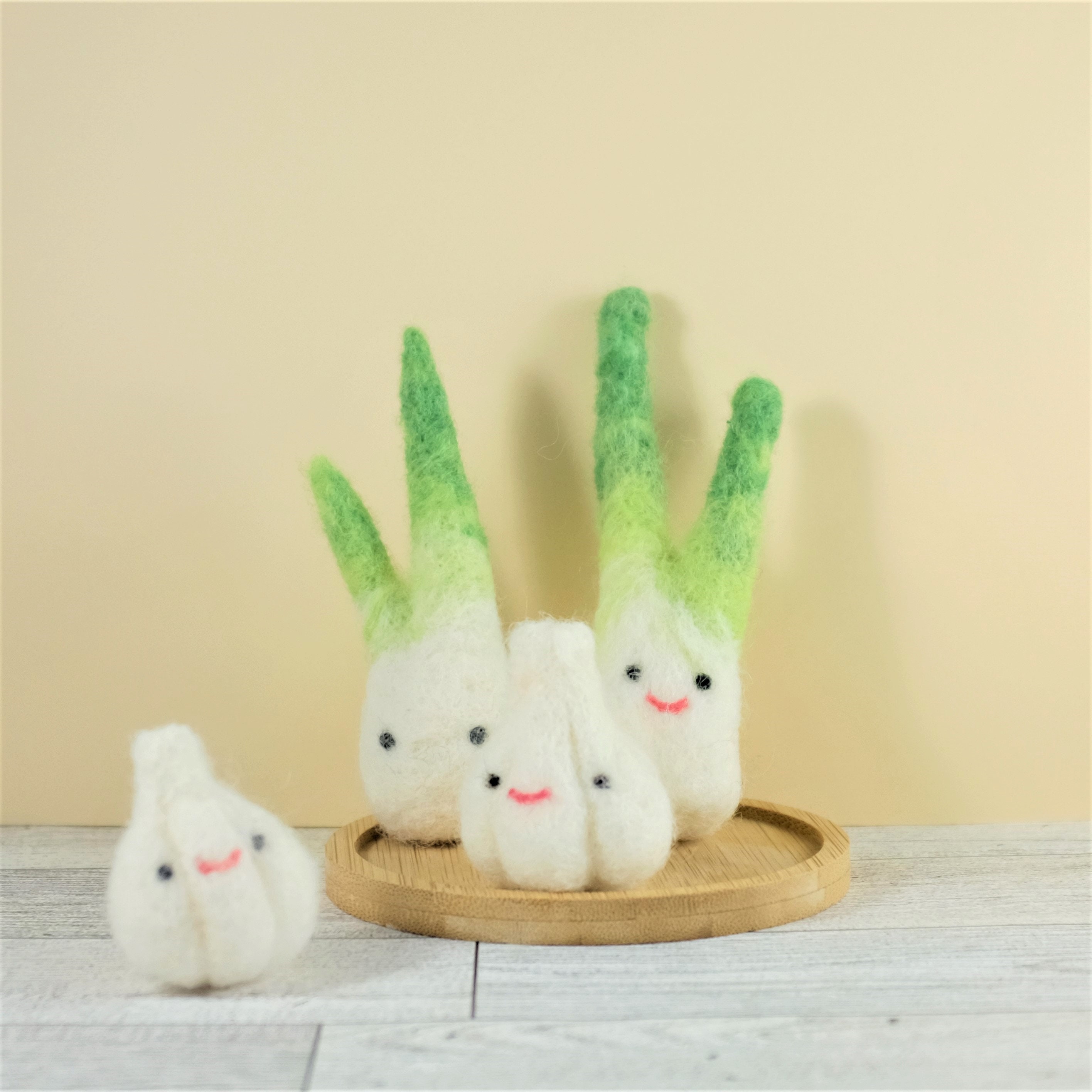 Felted Garlic and Green Onion Kit - Etsy