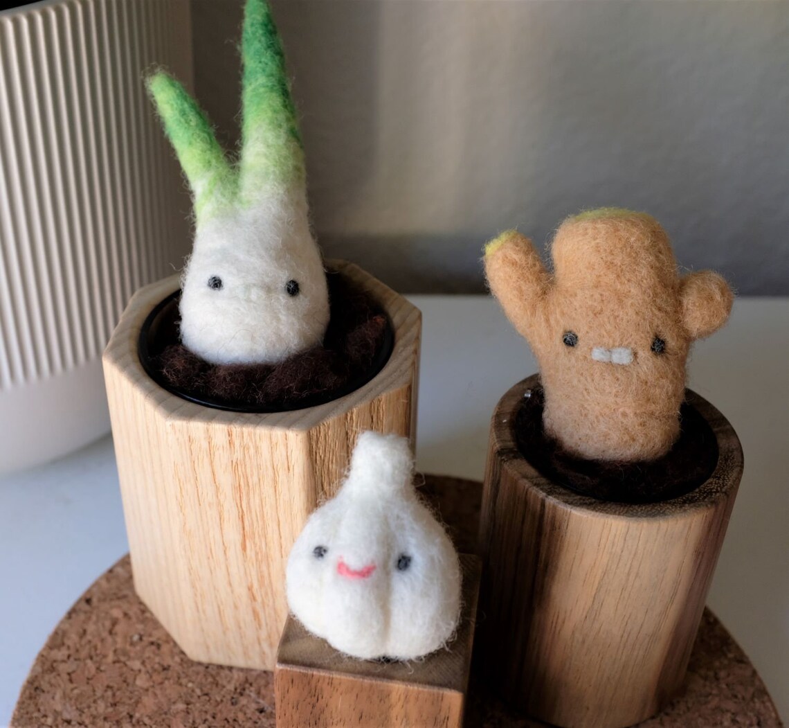 Felted Garlic and Green Onion Kit - Etsy