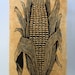 Corn Block Print, Original Linocut, Garden Print, Gardening Art ...