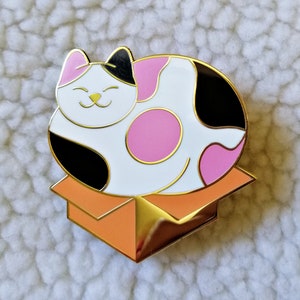 Calico Cat in a Box Enamel Pin | Etsy