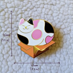 Calico Cat in a Box - Enamel Pin - Etsy