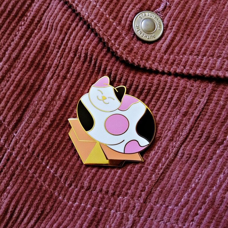 Calico Cat in a Box Enamel Pin - Etsy
