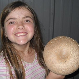 Two Agaricus Kits: One White Button and One Crimini/portabella Mushroom ...