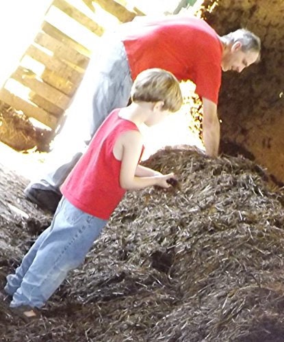 Two White Button Mushroom Growing Kits Makes It Easy to Grow - Etsy