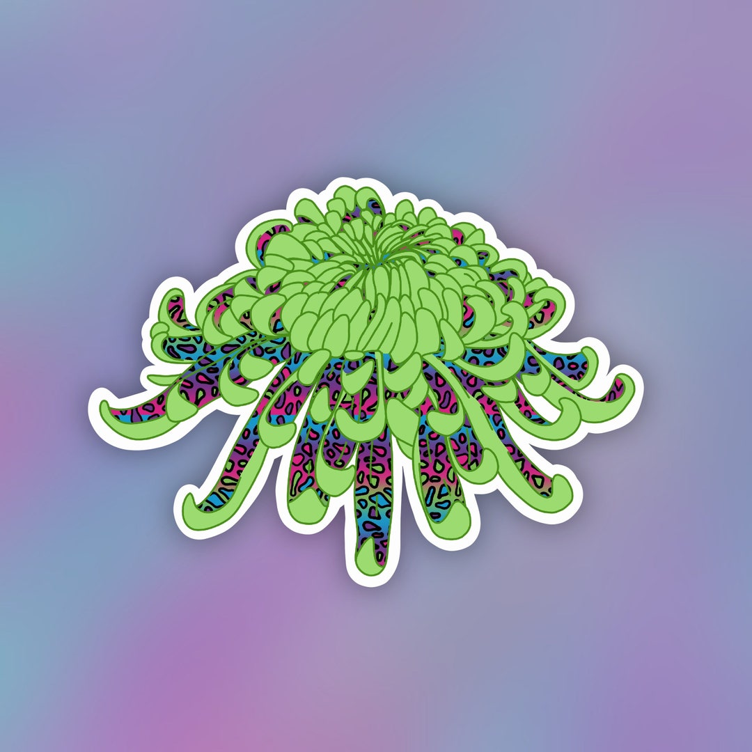 Rainbow Cheetah Spider Mum Vinyl Sticker/ Stickersandmorebylb/ Layla ...