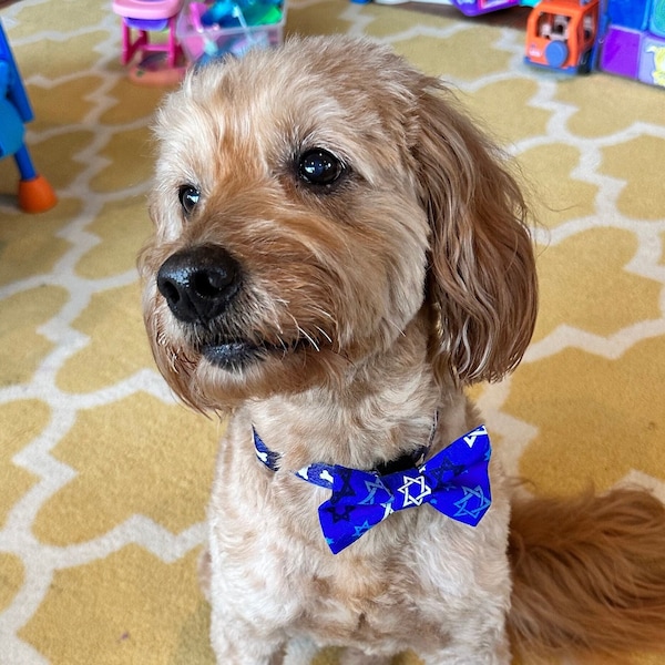 Jewish Dog - Etsy