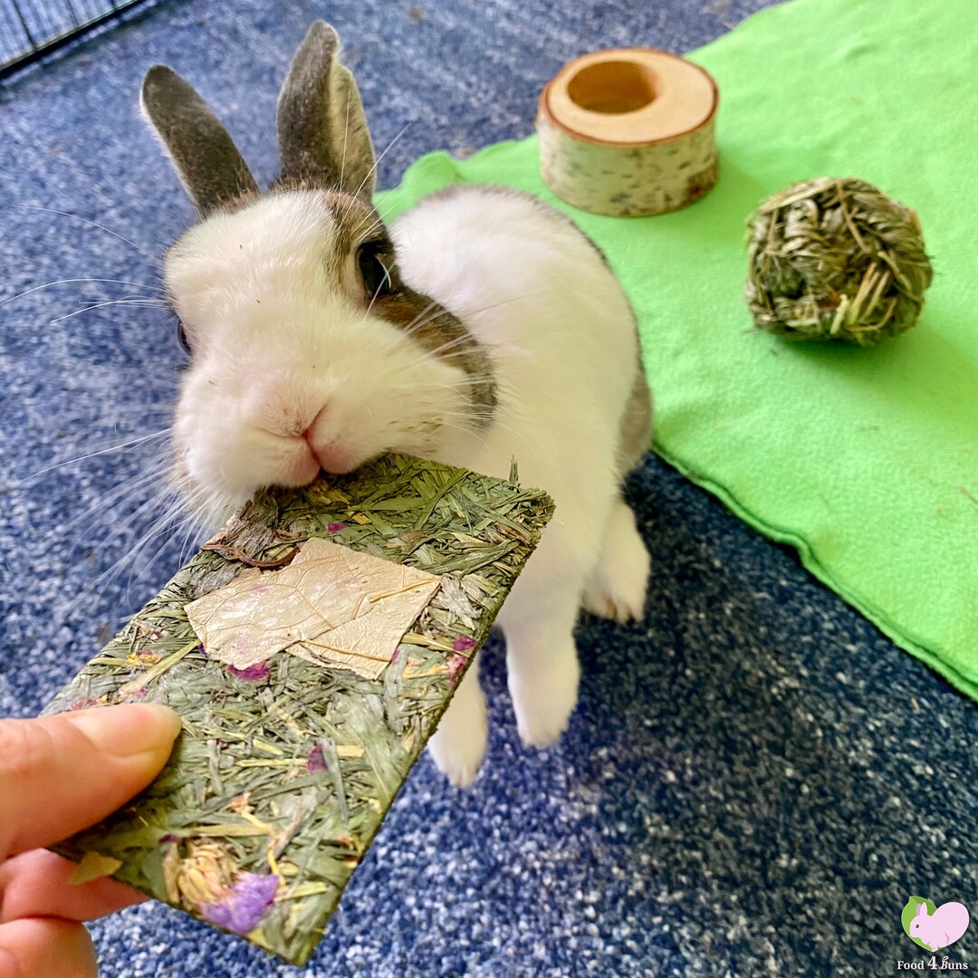 Timothy Grass Chips With Flowers and Herbs - Etsy