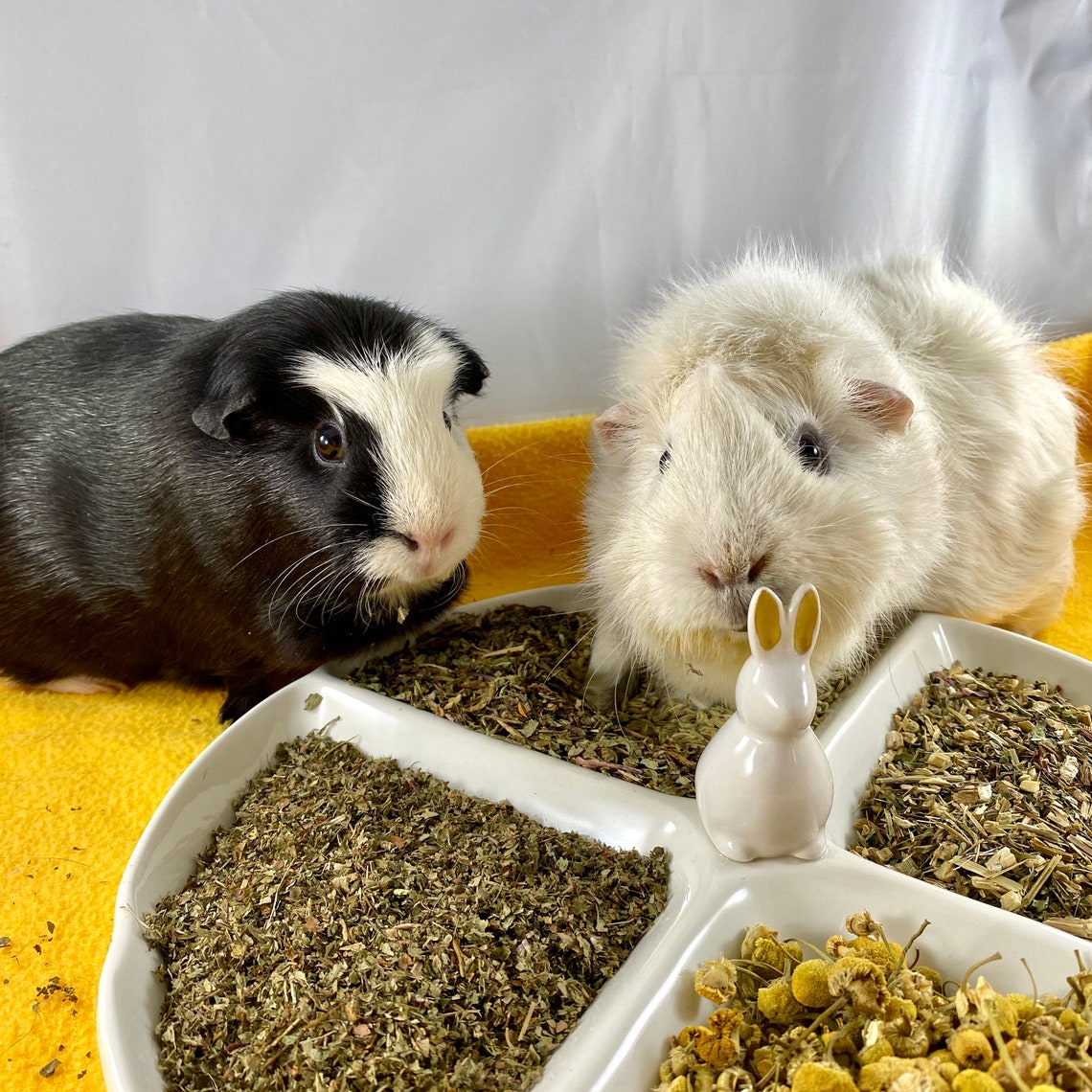 Picky Pigs Mix | Etsy