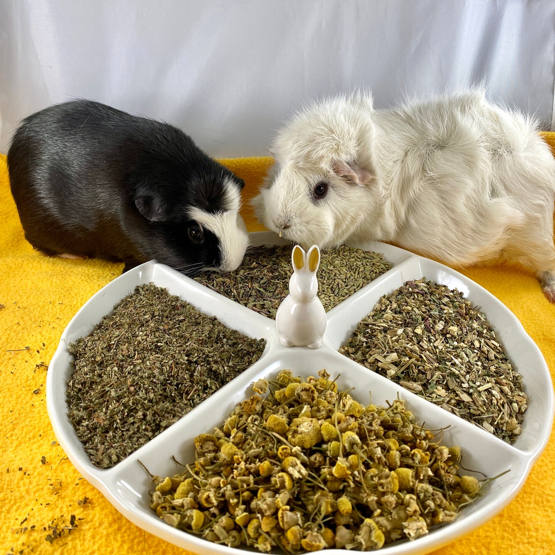 Picky Pigs Mix | Etsy