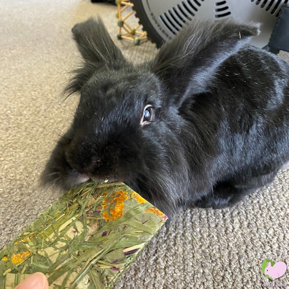 Timothy Grass Chips With Flowers and Herbs | Etsy