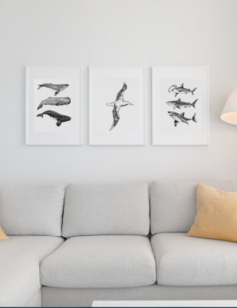 Royal Albatross Print Albatross Prints Albatross Art Print - Etsy