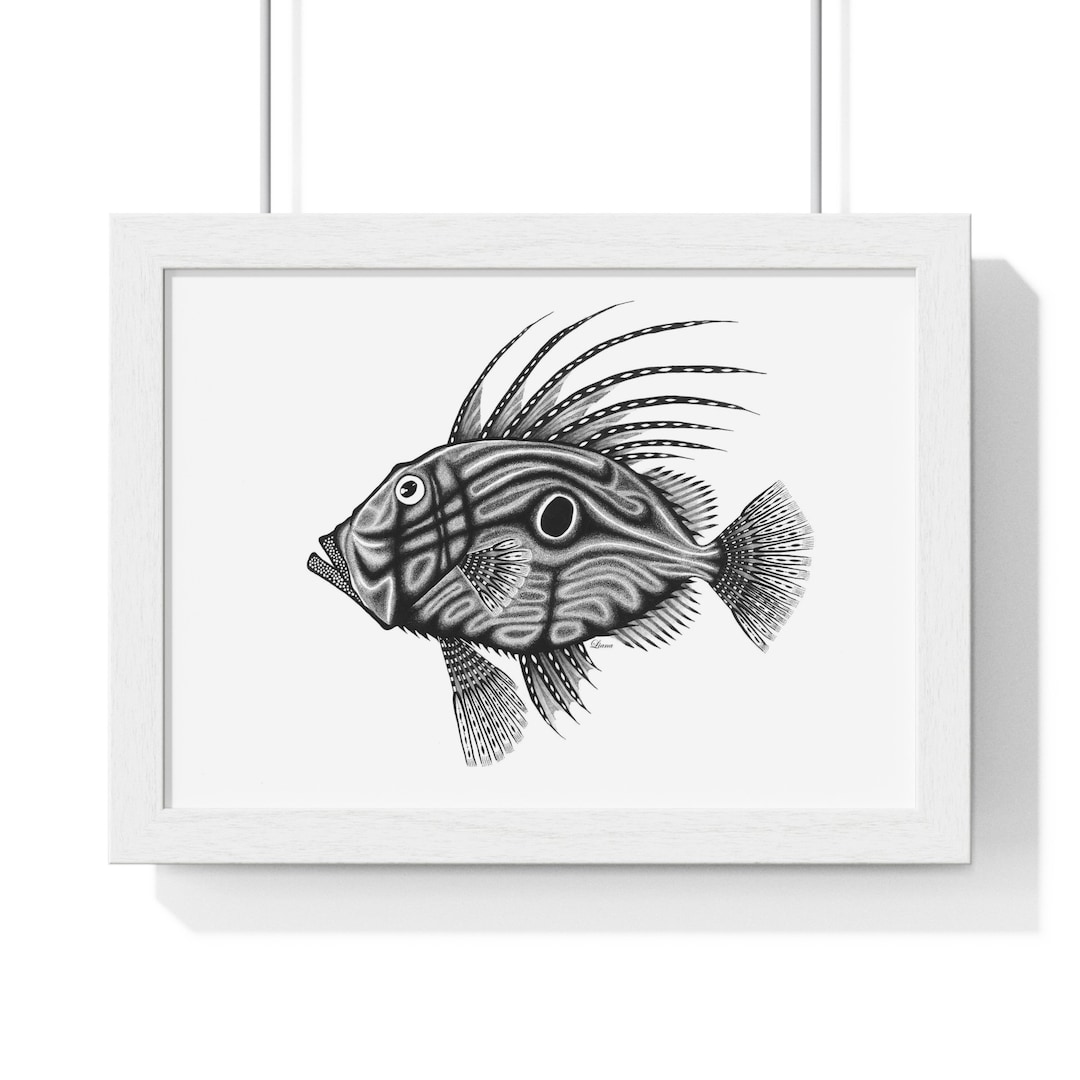 John Dory/kuparu Print Fish Prints, Fish Art Print, Fish Decor Print ...