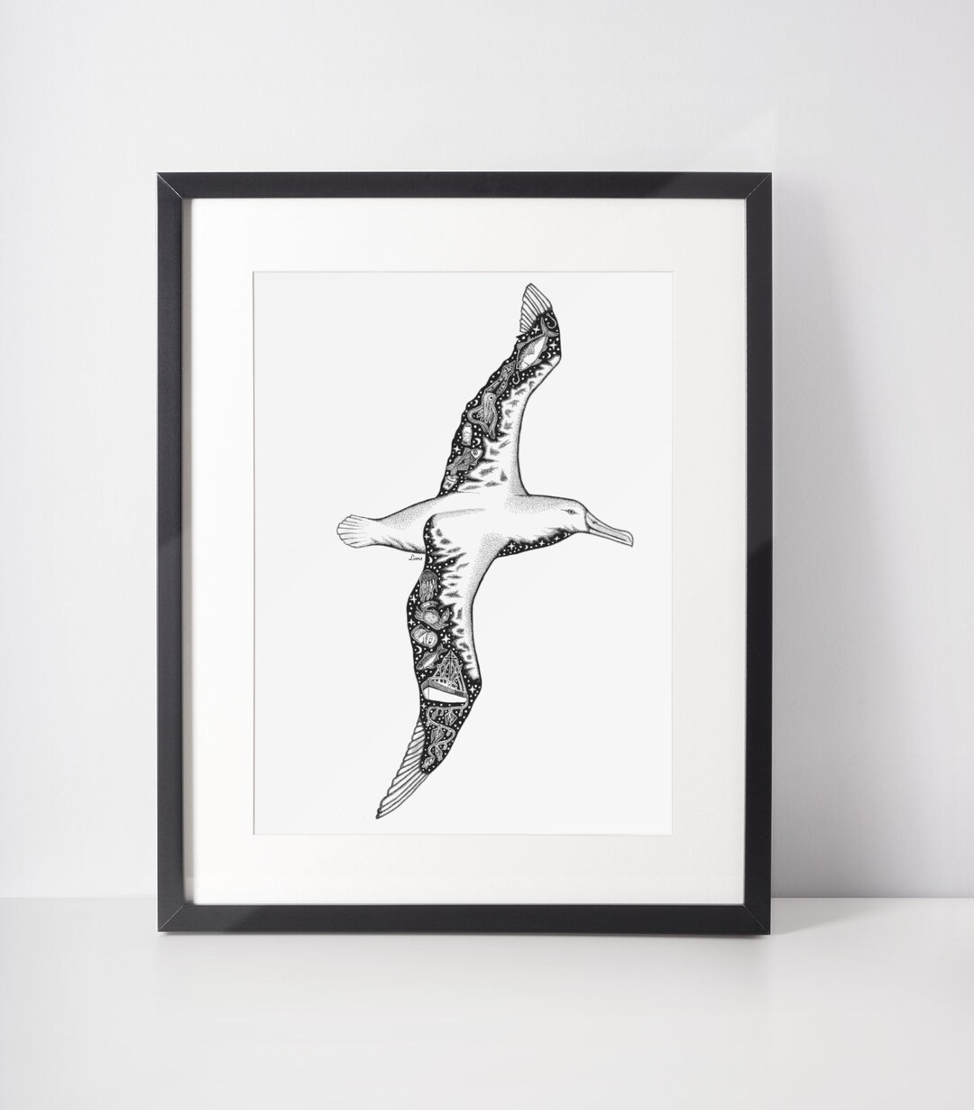 Royal Albatross Print Albatross Prints Albatross Art Print - Etsy