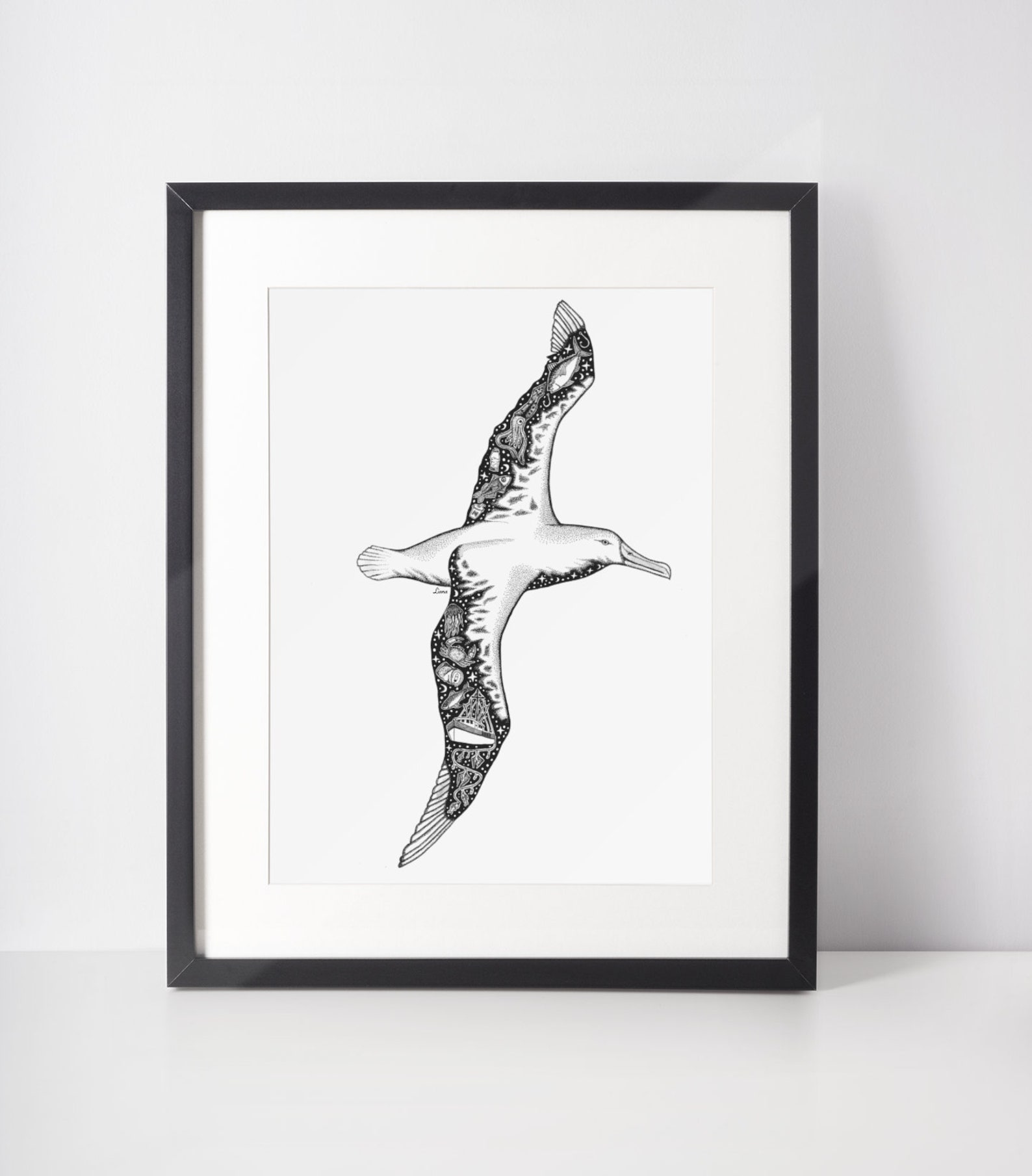 Royal Albatross Print Albatross Prints Albatross Art Print - Etsy