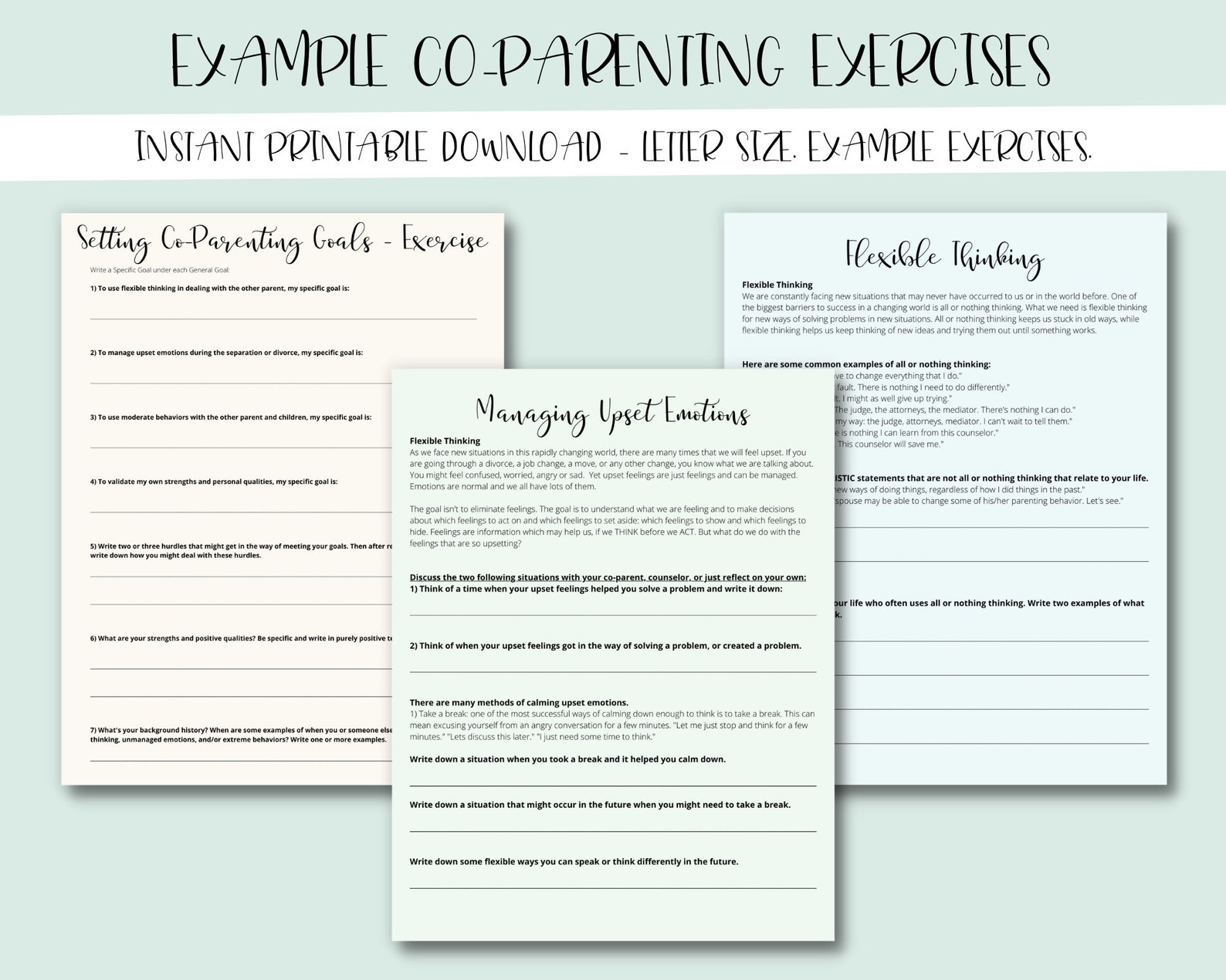 Co-parenting Therapy Workbook: Parenting Goals & Solutions - Etsy
