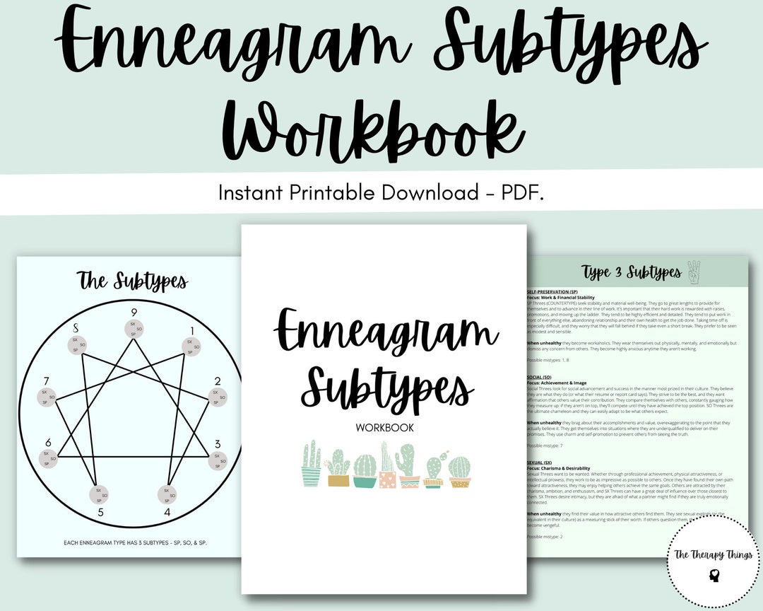 Enneagram Subtypes Workbook: Types 1-9, Self Preservation, Social ...