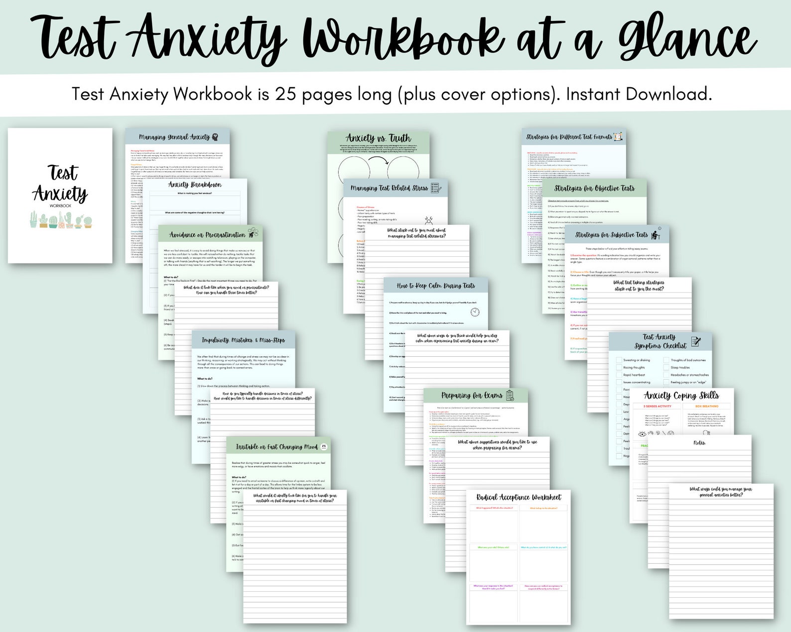 Test Anxiety Workbook: Tips to Reduce Test Anxiety, Test Taking ...