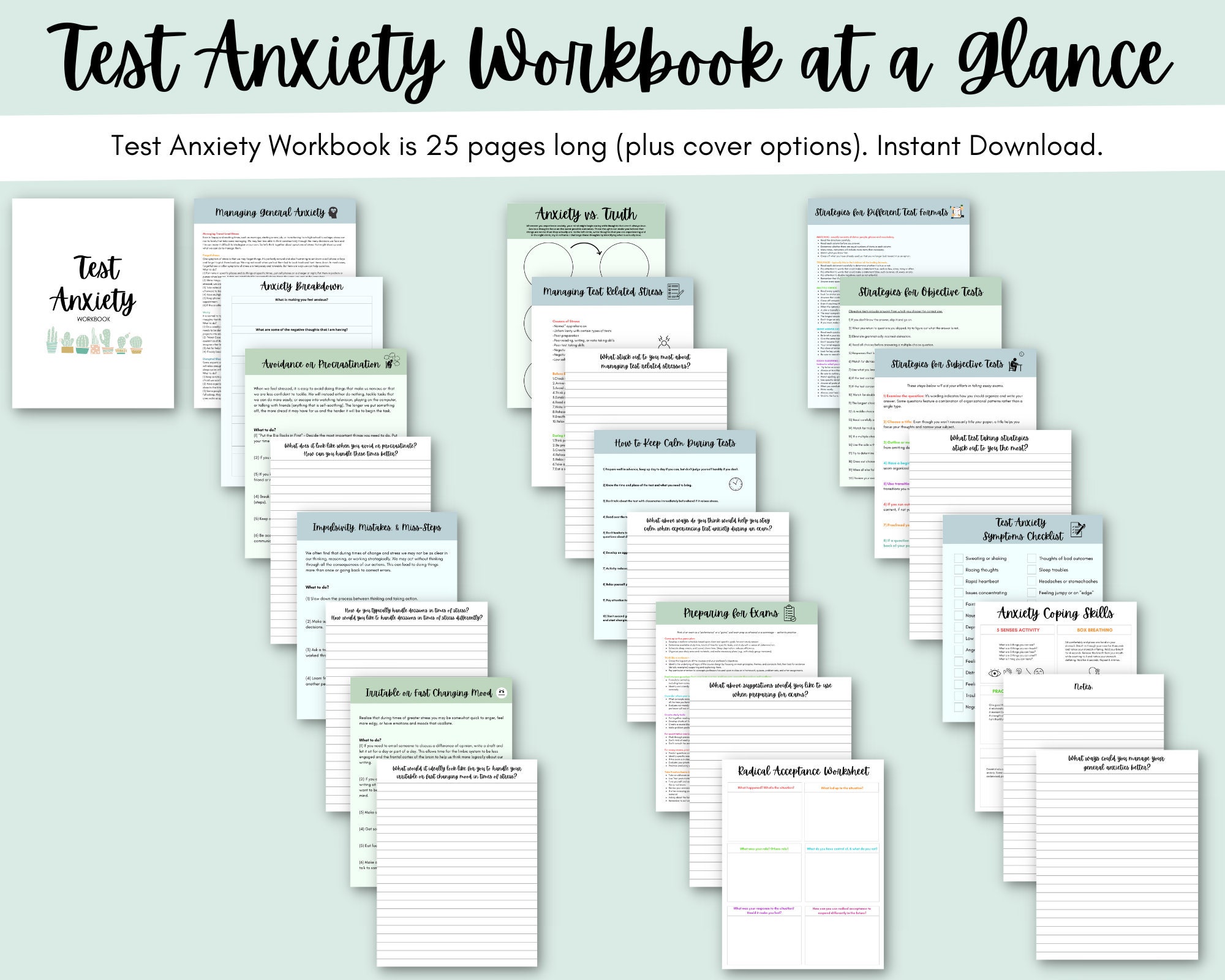 Test Anxiety Workbook: Tips to Reduce Test Anxiety, Test Taking ...