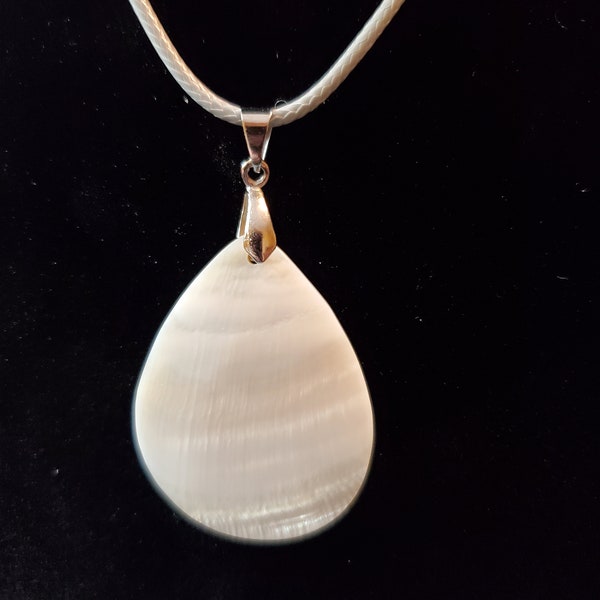 White Shell Earrings - Etsy
