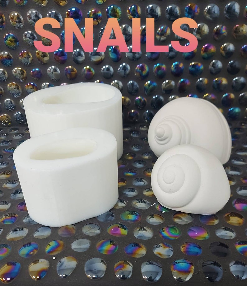 Medium 3d Silicone Snail Shell Mould - Etsy
