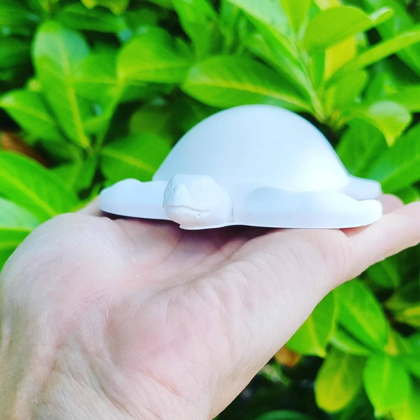 Small 3d Sea Turtle Silicone Mould - Etsy