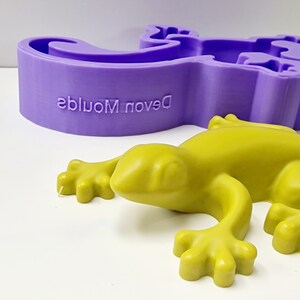 3D Lizard Silicone Mould, Plaster Mould, Jesmonite Mould, Wax Mould - Etsy