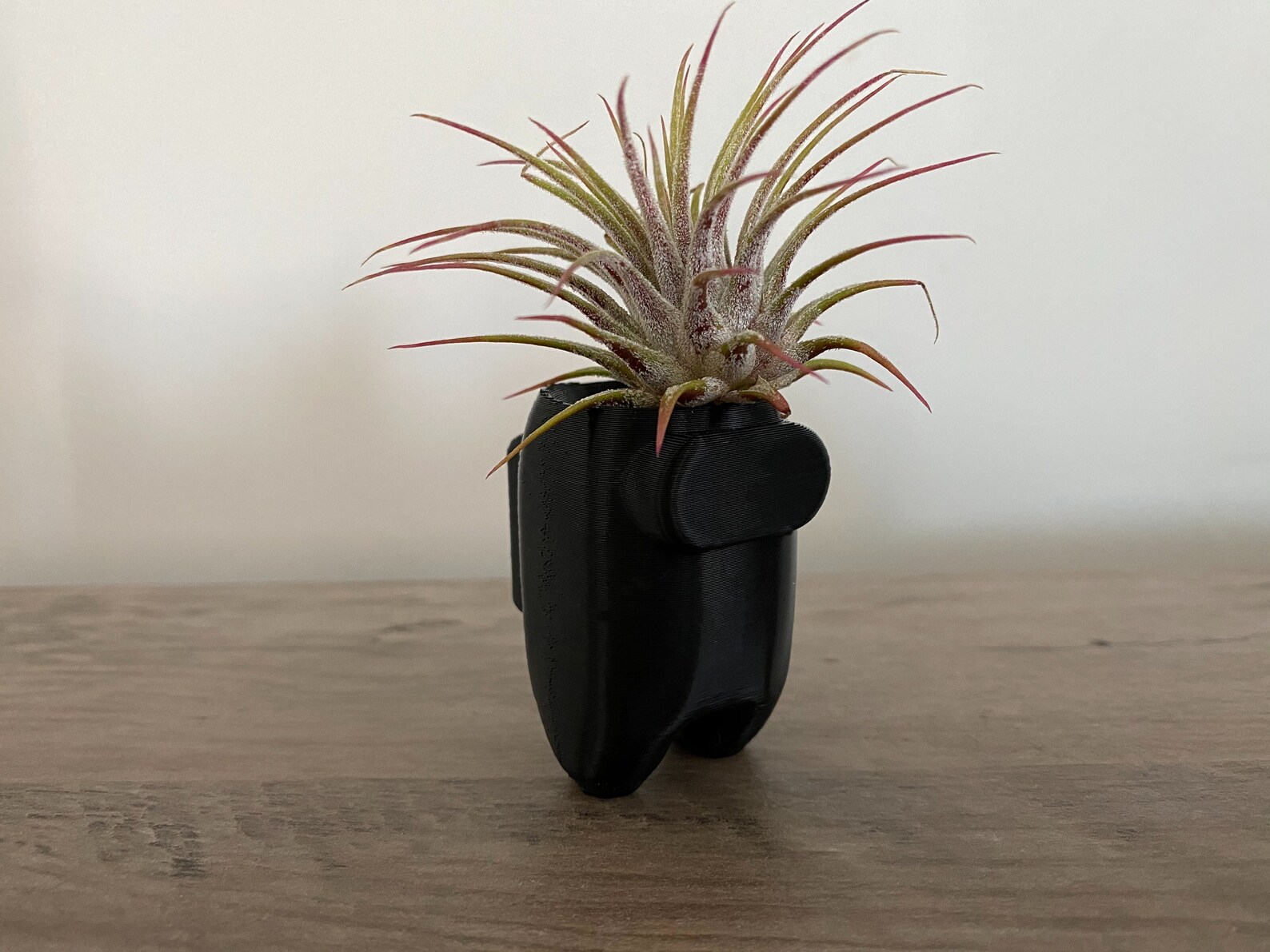 Among Us Air Plant Planter: Modern Gamer Desk Decor With Live ...