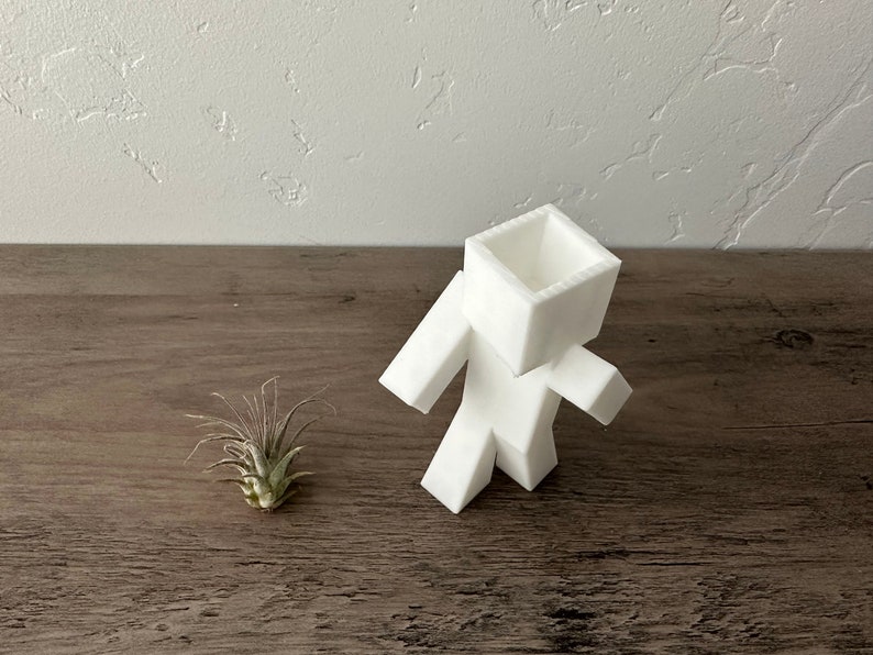 Minecraft Steve Air Plant Display Desk Planter Modern Decor Plant With ...