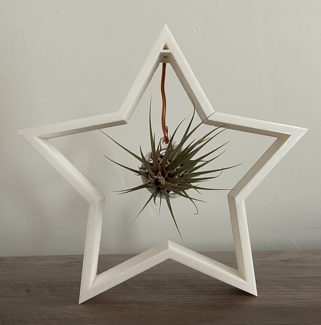Star American Patriot Display Desk Planter Air Plant Modern Farmhouse ...