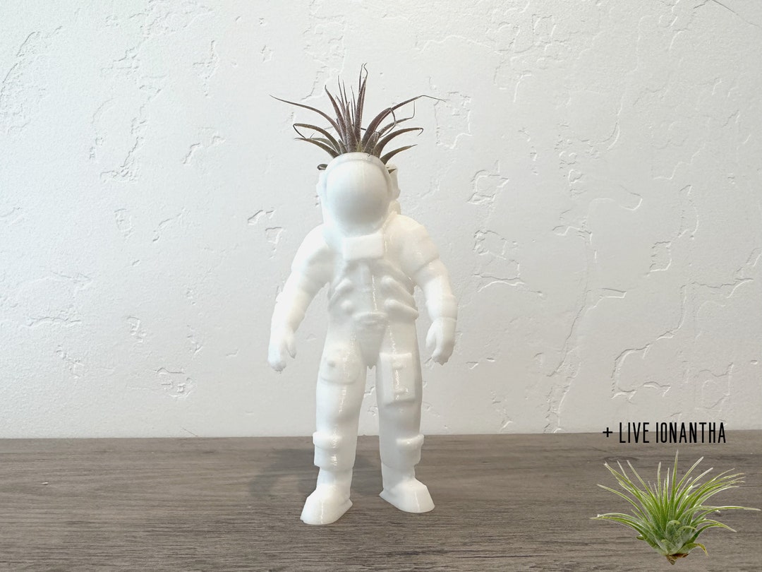 Astronaut Spaceman Air Plant Planter Holder With Live Air - Etsy