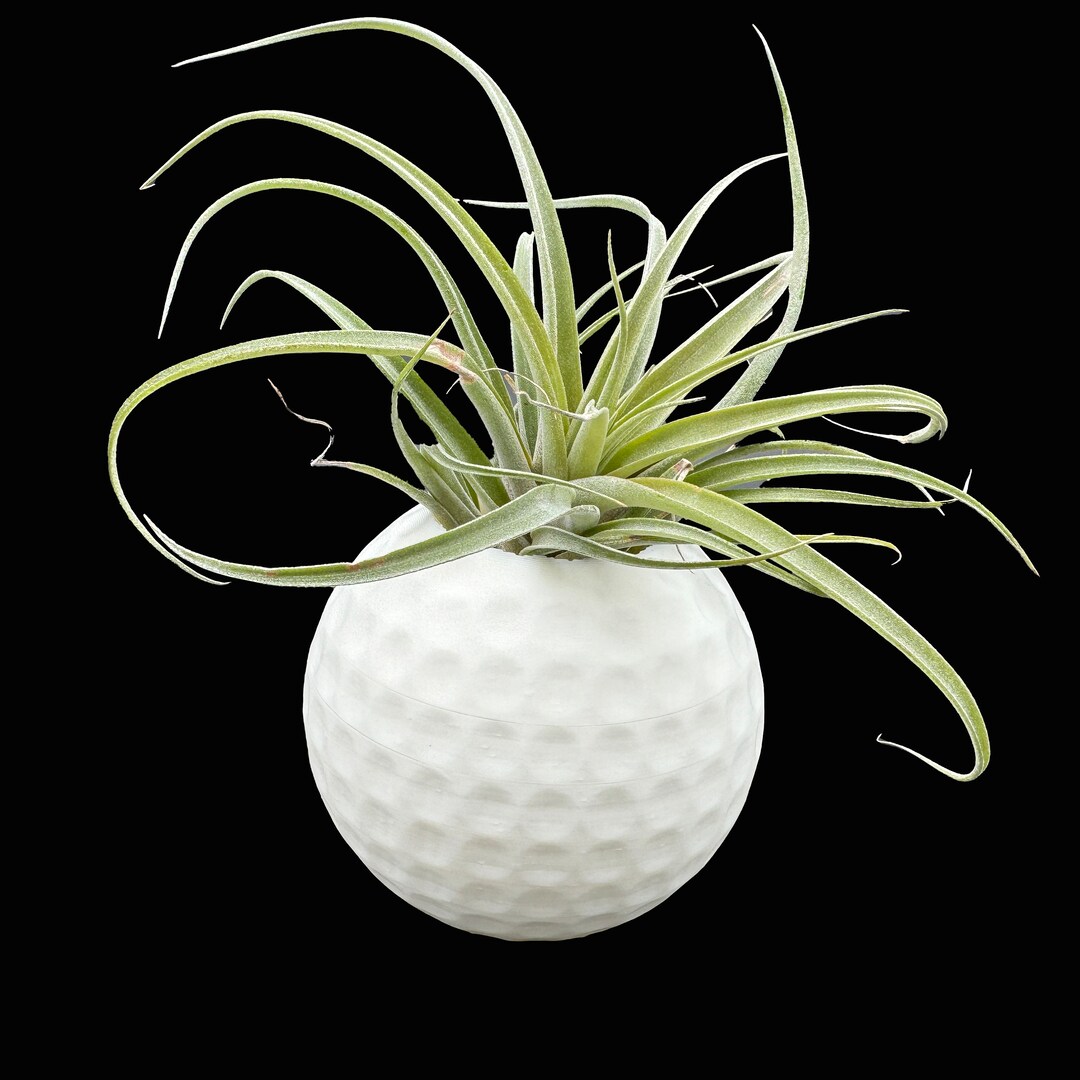 Golf Ball Air Plant Planter: Unique Handmade Golf Gift - Etsy