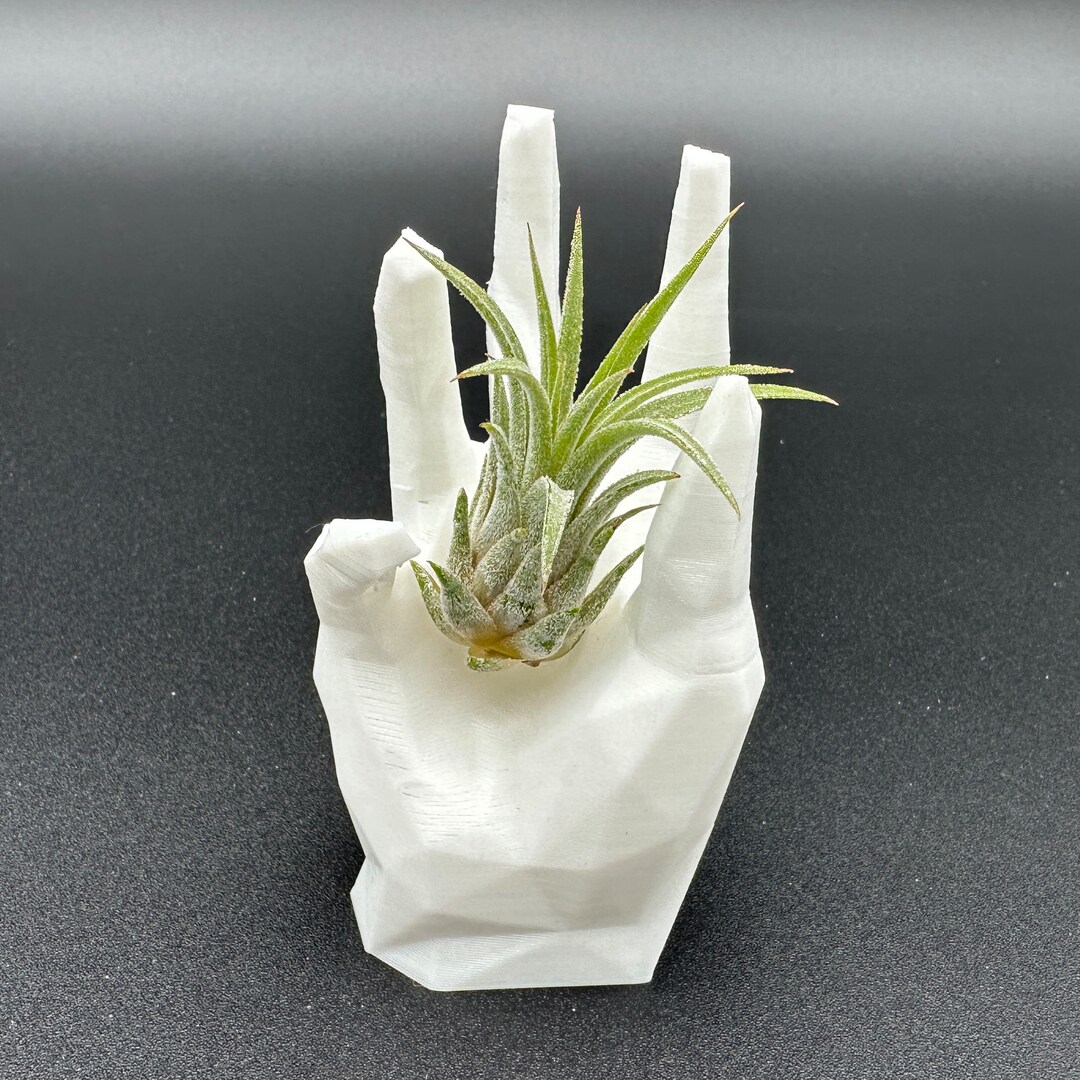 Modern Happy Hand Desk Planter | Decorative Air Plant Holder Stand ...