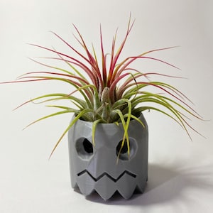 Pacman Ghost Gamer Inspired Air Plant Display Desk Planter Drop Proof ...