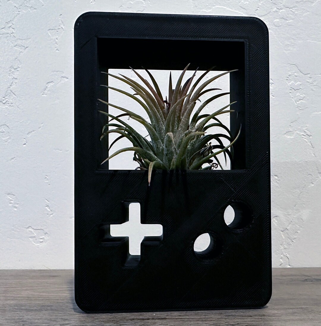 Gameboy Air Plant & Planter Combo Indoor Desk Planter Decorative Plant ...