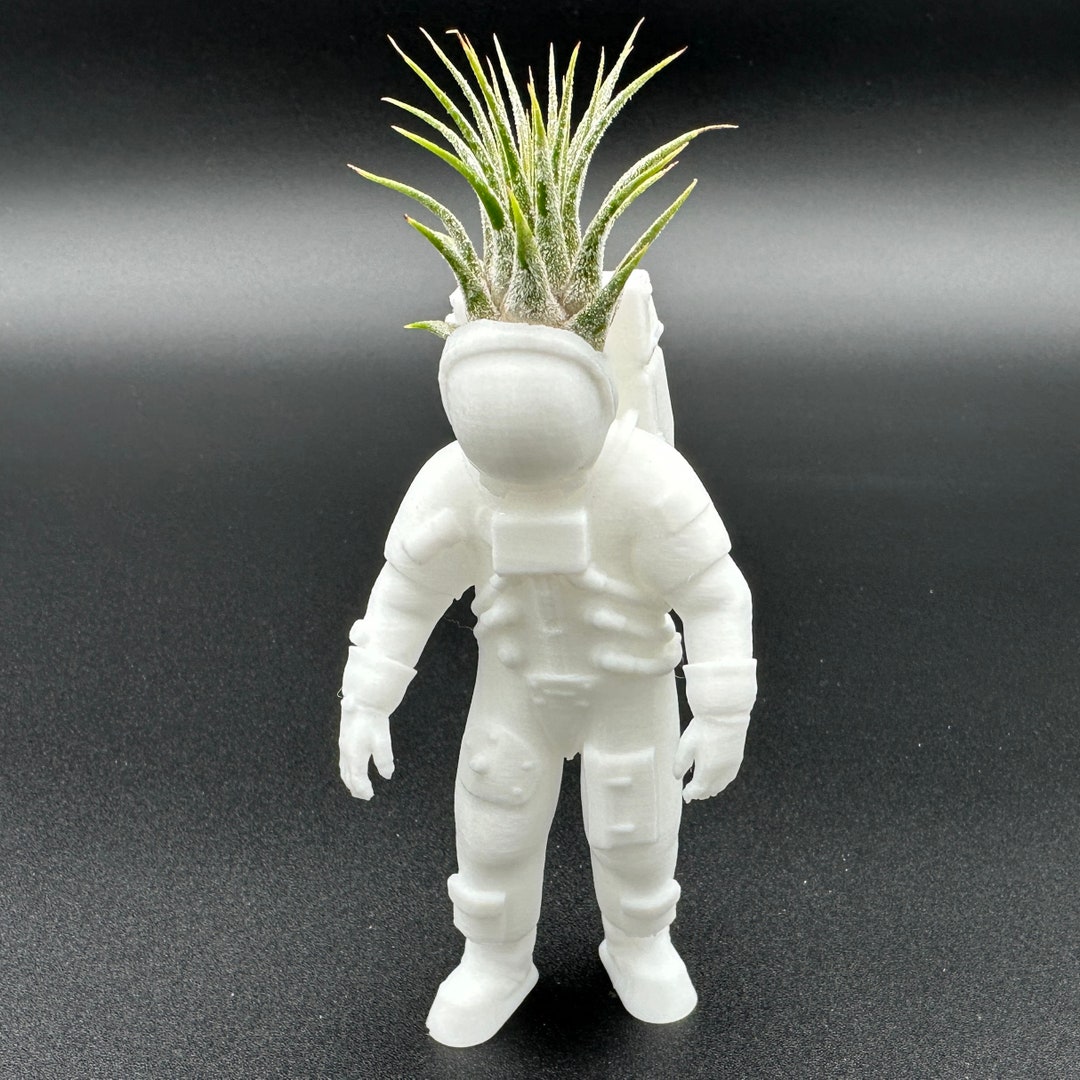 Astronaut Spaceman Air Plant Planter Holder With Live Air Plant ...