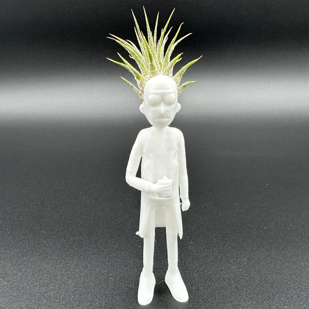 Rick and Morty Inspired Air Plant Stand Sanchez Display Desk Planter ...