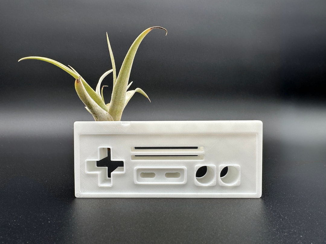 Retro Gaming Gift Desktop Plant and Planter Combo Air Plant Gamer ...