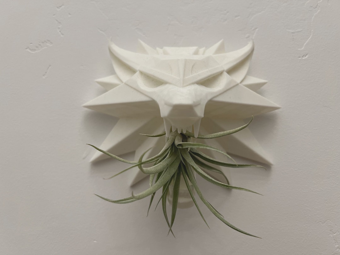 Witcher Inspired Hanging Plant Airplant Display Wall Planter Modern ...