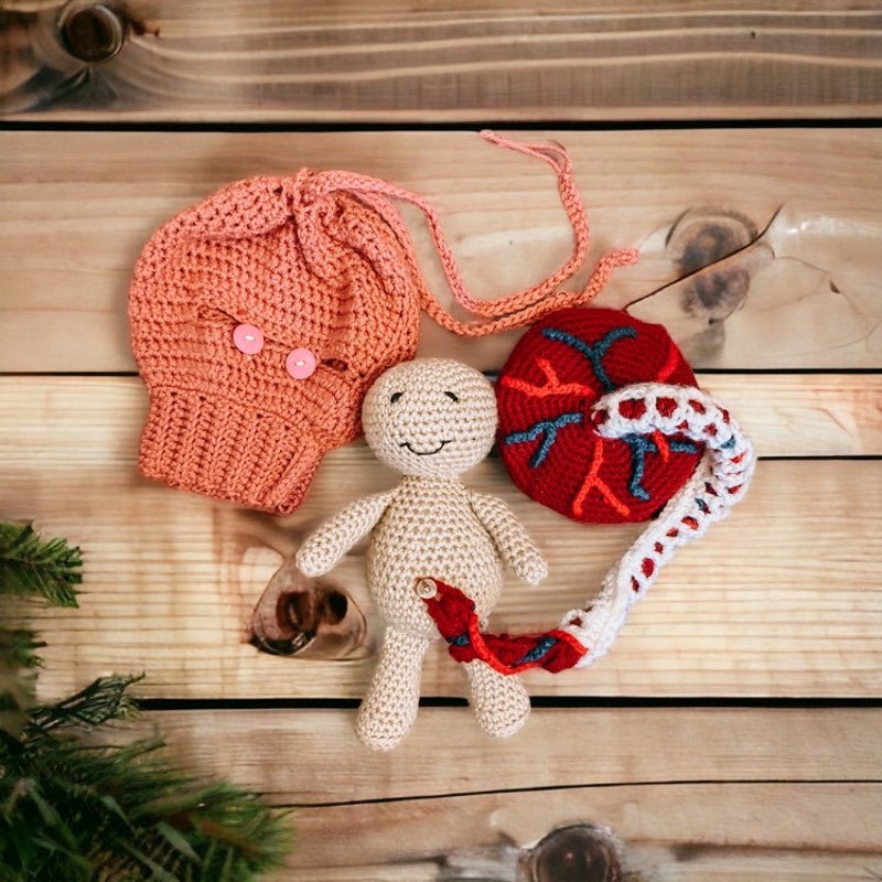 Uterus Crochet Pattern - Etsy