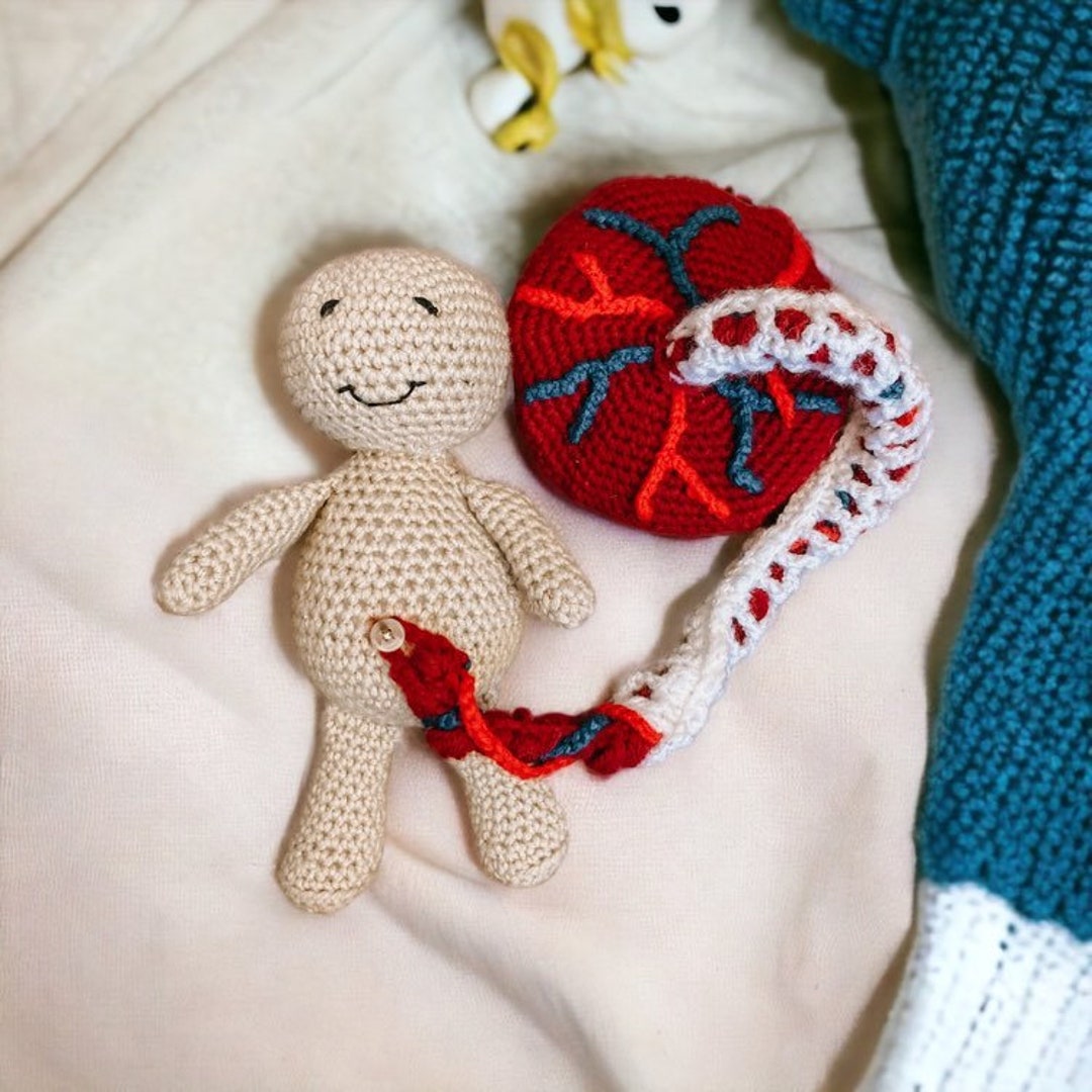 PATTERN, Baby/placenta - Etsy