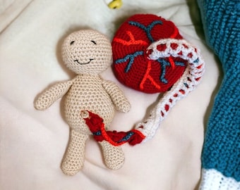 Labour/labor Education Poster Bundle - Etsy