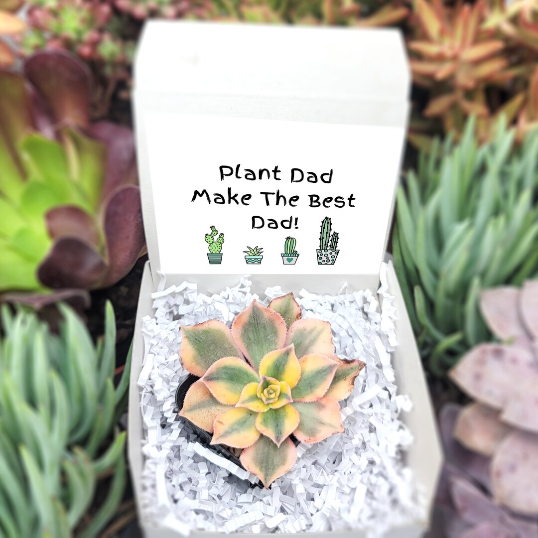 Plant Dad Make the Best Dad! | Gifts for Coworkers | Gifts for Women ...