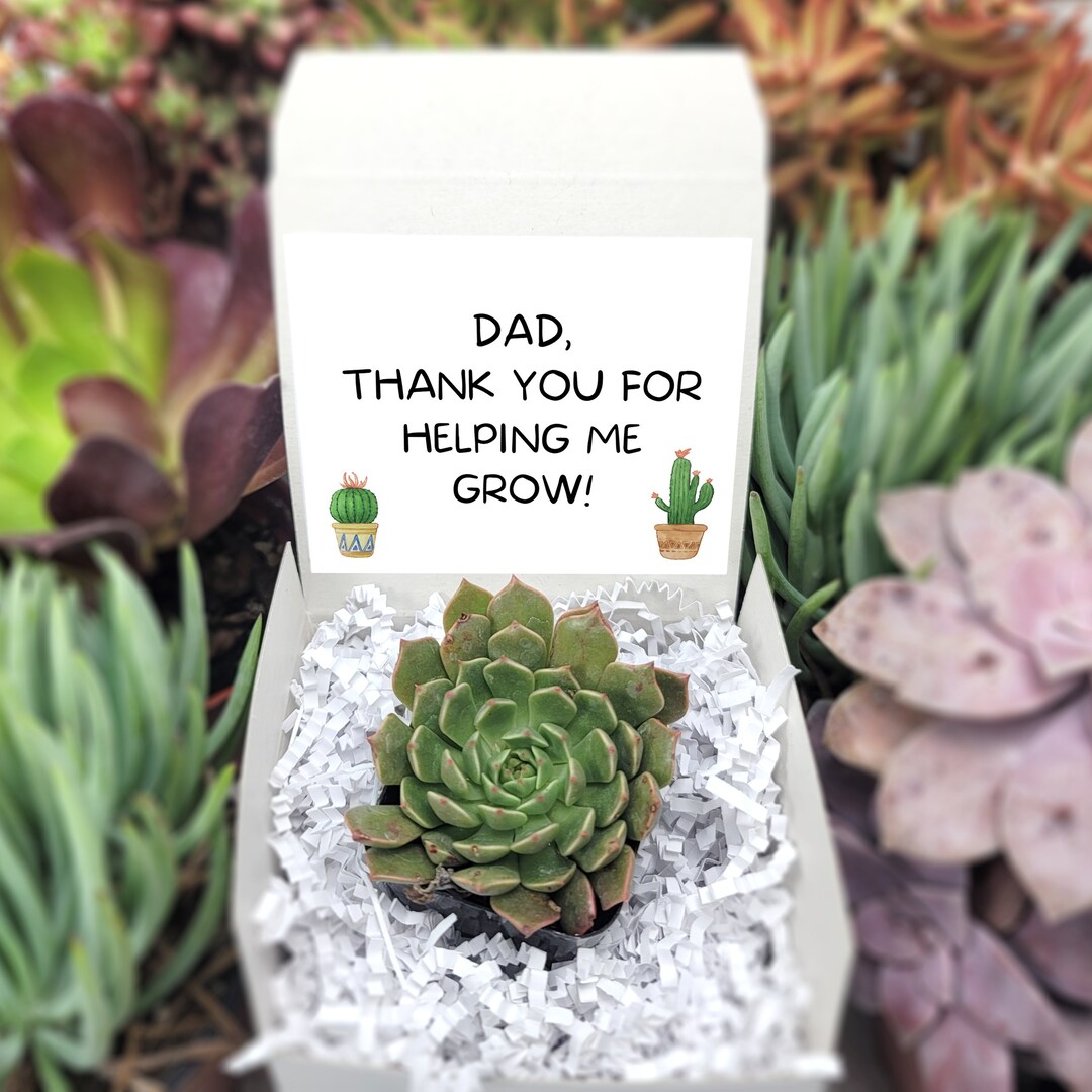 Dad Thank You for Helping Me Grow! | Gifts for Coworkers | Gifts for ...