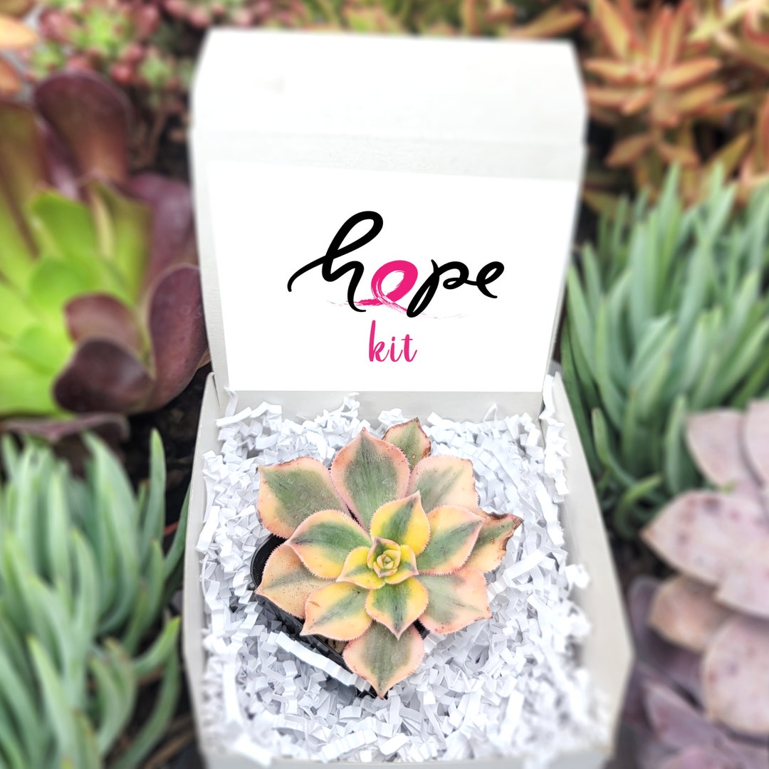 Hope Kit - Cancer Chemo | Gifts for Coworkers | Gifts for Women Men ...