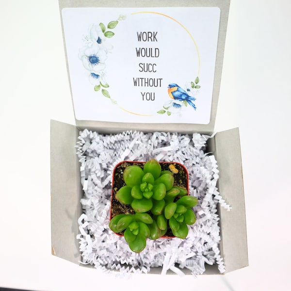 Work Will Succ Without You - Etsy