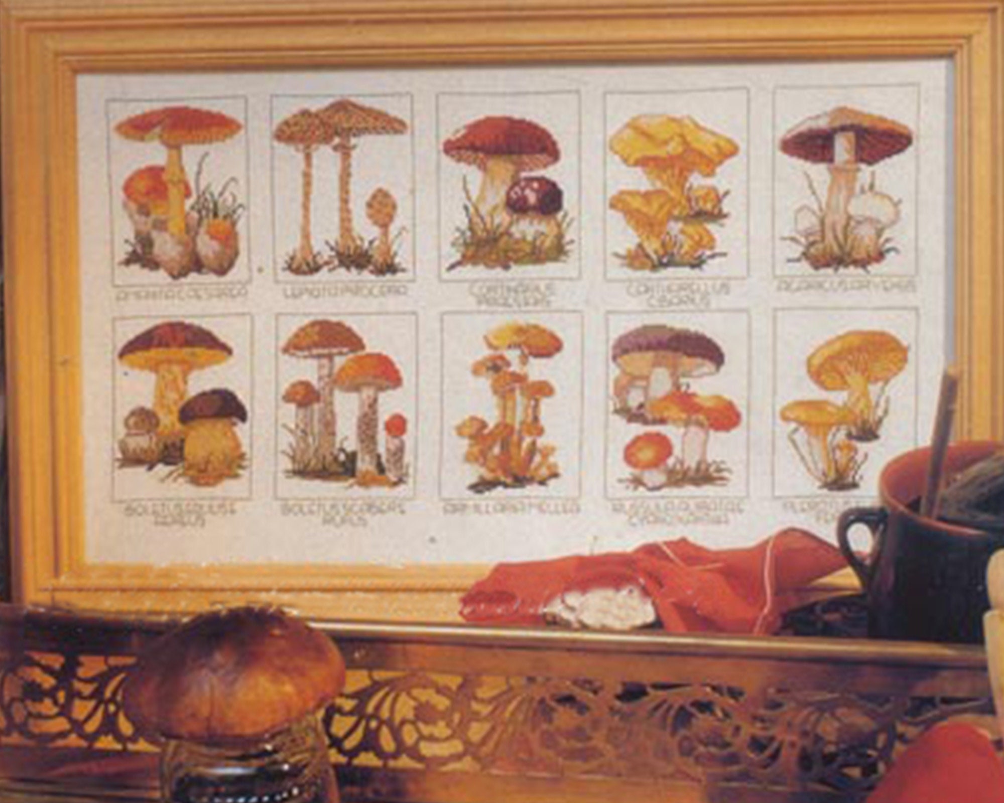 Vintage Mushroom Specimen Cross Stitch Template Pattern Instant PDF ...