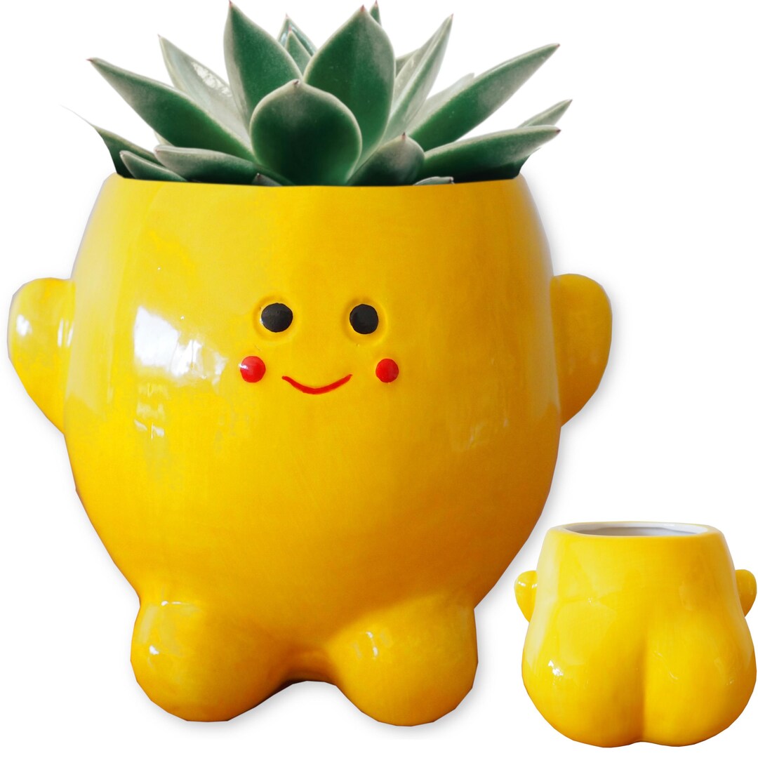 Evovee Yellow Happy Planter Smiling Plant Pot Face Funny Butt Booty Bum ...